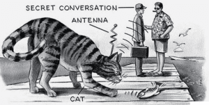 Operation Acoustic Kitty: How the CIA Turned Cats into Spies During the ...