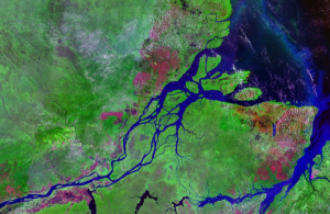 Amazon River – Fact Nest